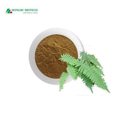 buy high quality Polypodium Leucotomos Extract Powder,Polypodium ...
